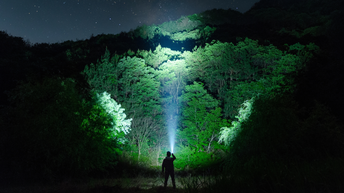Our Values Guide Us Today and Always | Rockefeller Brothers Fund
